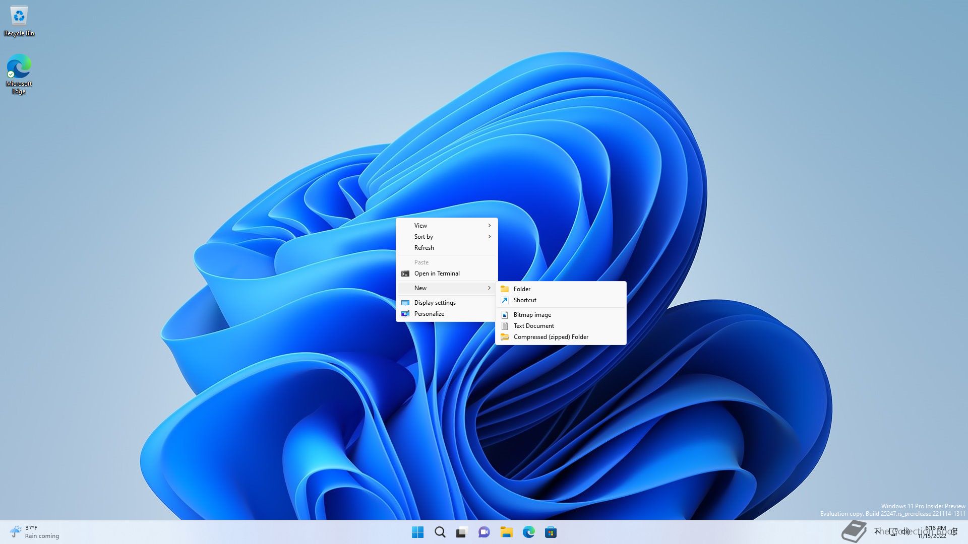Microsoft Windows 11 v24H2, 10.0.25247.1000 - The Collection Book
